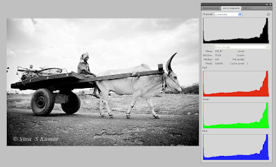 School Of Digital Photography: Understanding Histograms