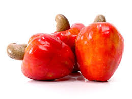 El cajuil, árbol que da doble fruto y beneficios Contiene agua ...