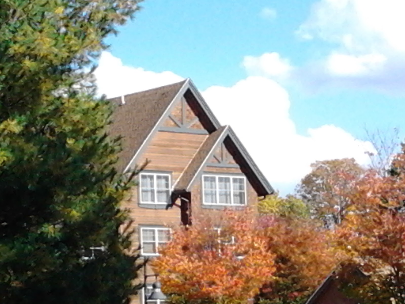 Poets Landing Updates