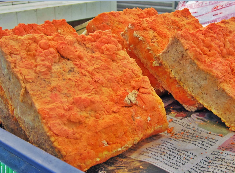 Manfaat Oncom Bagi Kesehatan Tubuh ~ PERAWAT HEBAT KELSA