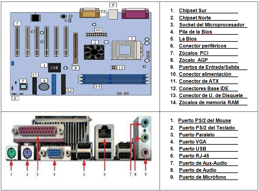 ENTRANDO AL MUNDO DEL ORDENADOR: COMPONENTES DEL HARDWARE DE UN ORDENADOR