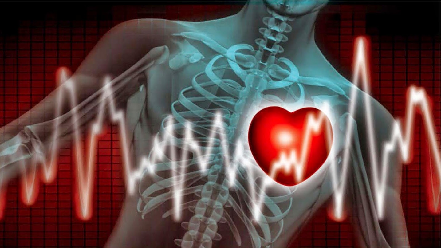 Bienvenidos: Sesiones de cardio