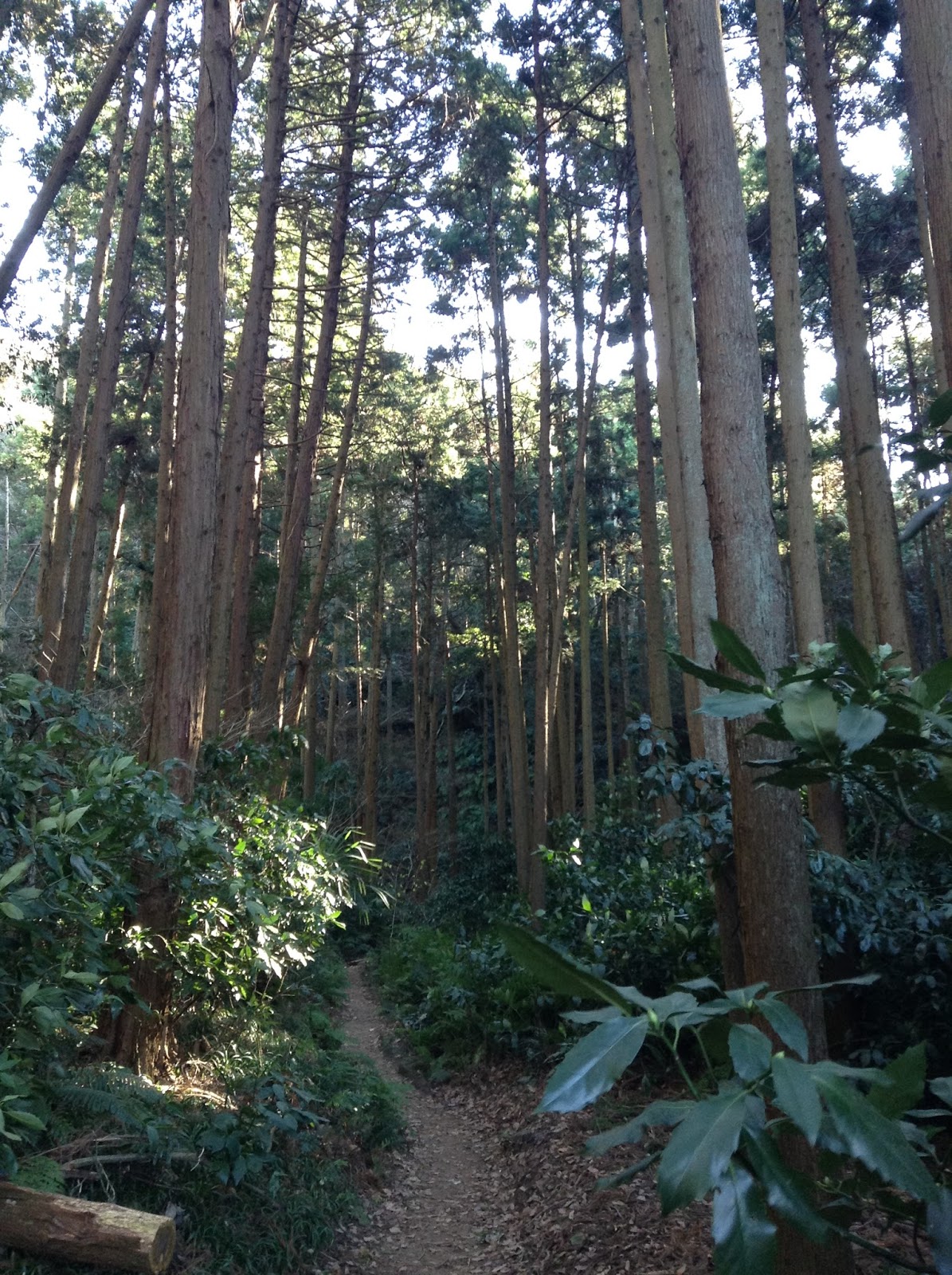 JapanDo: Kamakura Hiking Trails 鎌倉 ハイキング