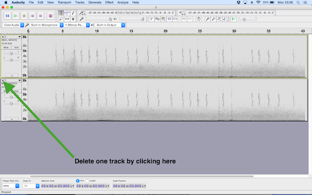 The Bird Sounds Blog: Audacity - the basics