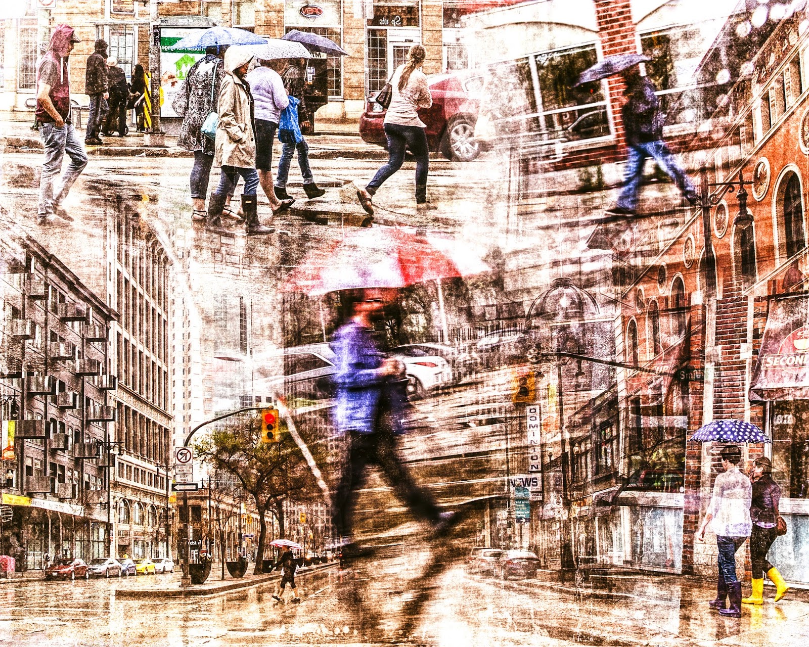 Carla Dyck Photography: Rain Collage