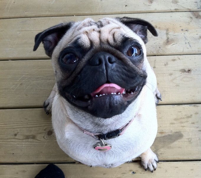 CRIME SCENE USA: 05/28/13