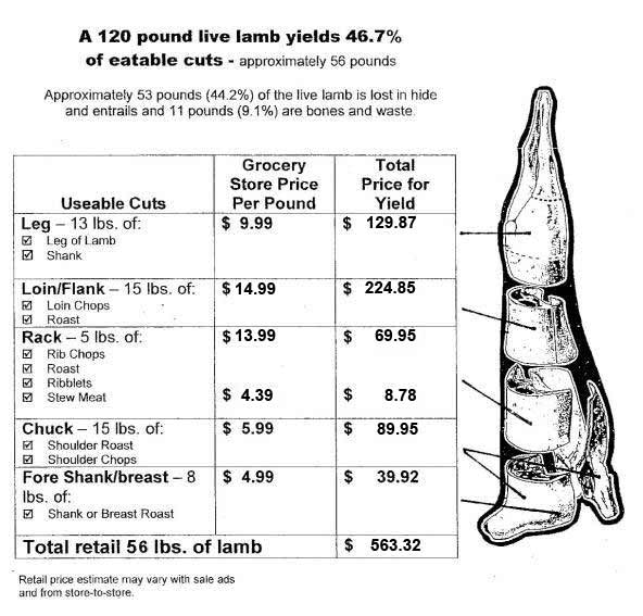 Life With Little Sprouts Farm: Lamb and Mutton for Sale!