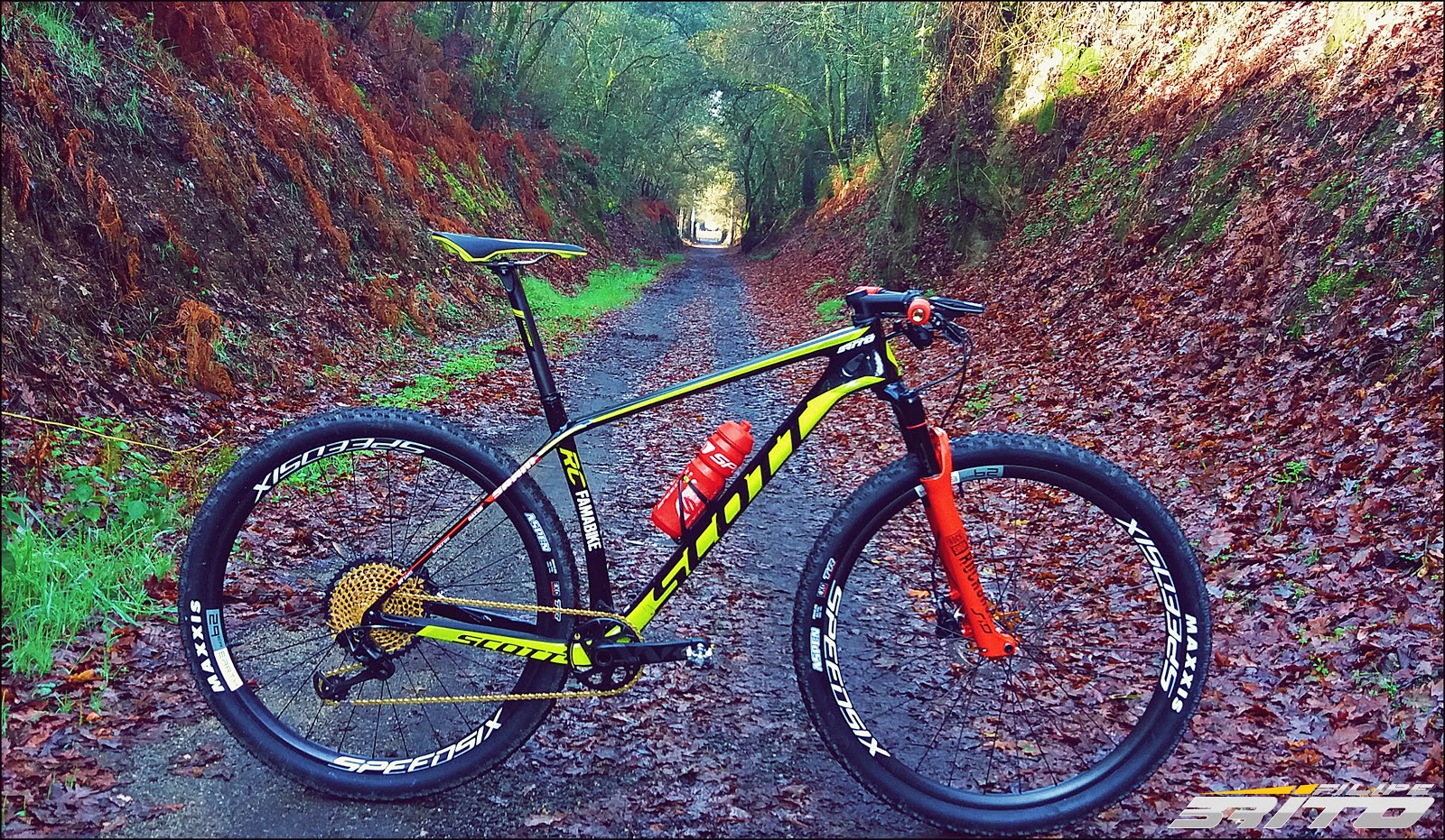 FILIPE BRITO: SCOTT SCALE 2018 vs SCOTT SCALE 2017