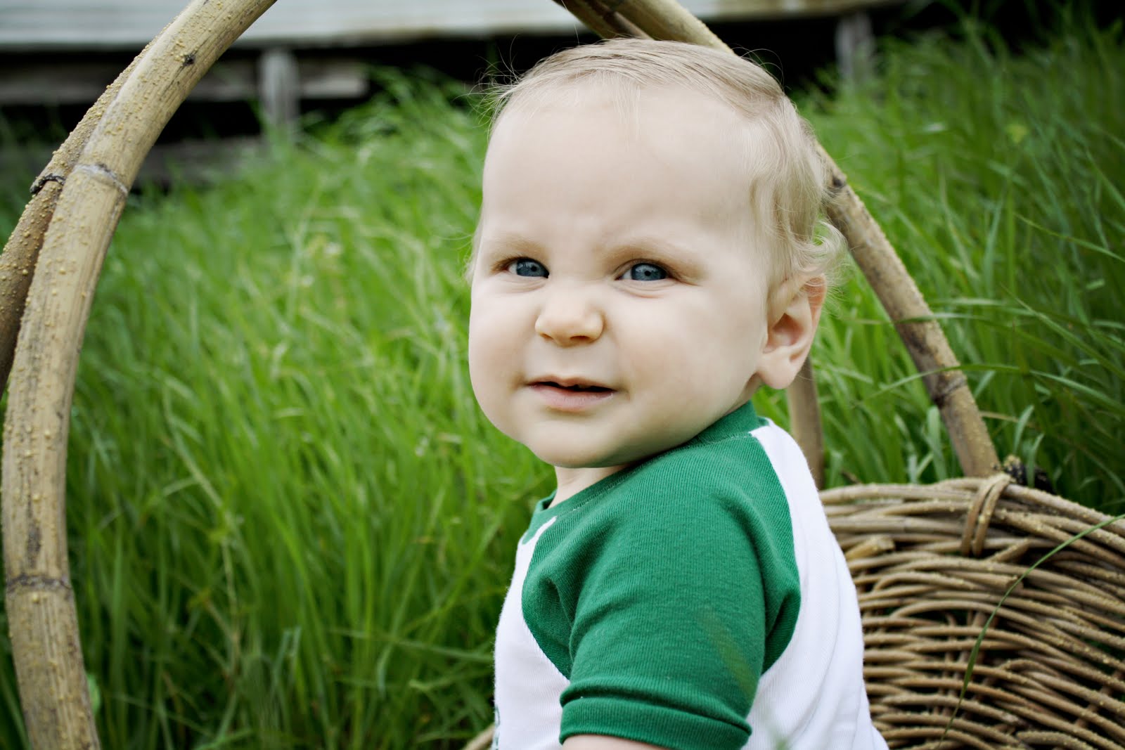 Laura Singleton Photography