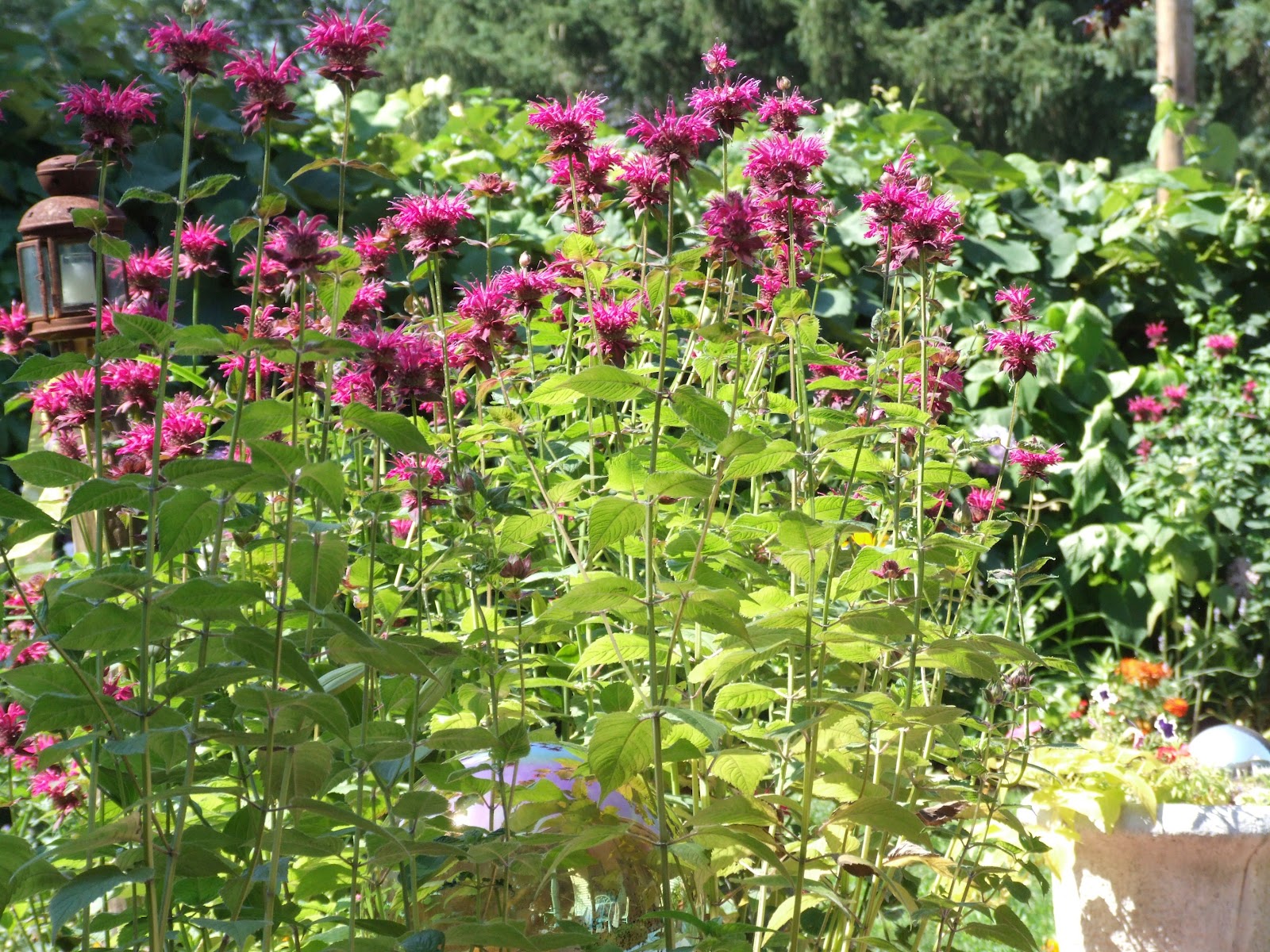 Enchanted Witchery ~ Where Old World Witchery is Alive: Planning A ...