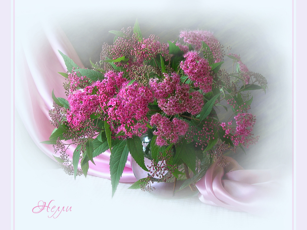 ELIMIKA NA UFURAHIE: MAUA MAZURI YA KUPENDEZA