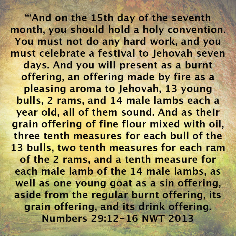 My Bible Reading: NUMBERS