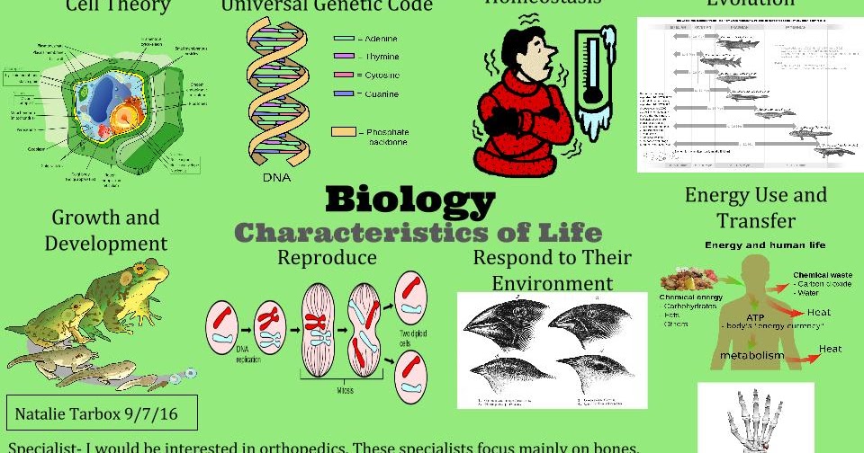What Is Biology Collage