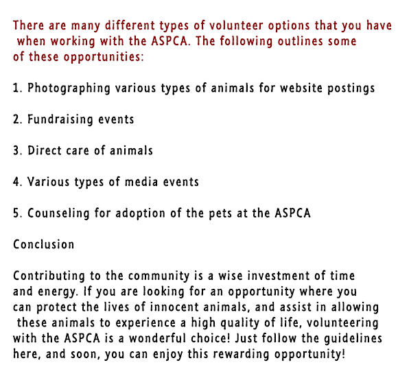 aspca nyc | yusufsbs