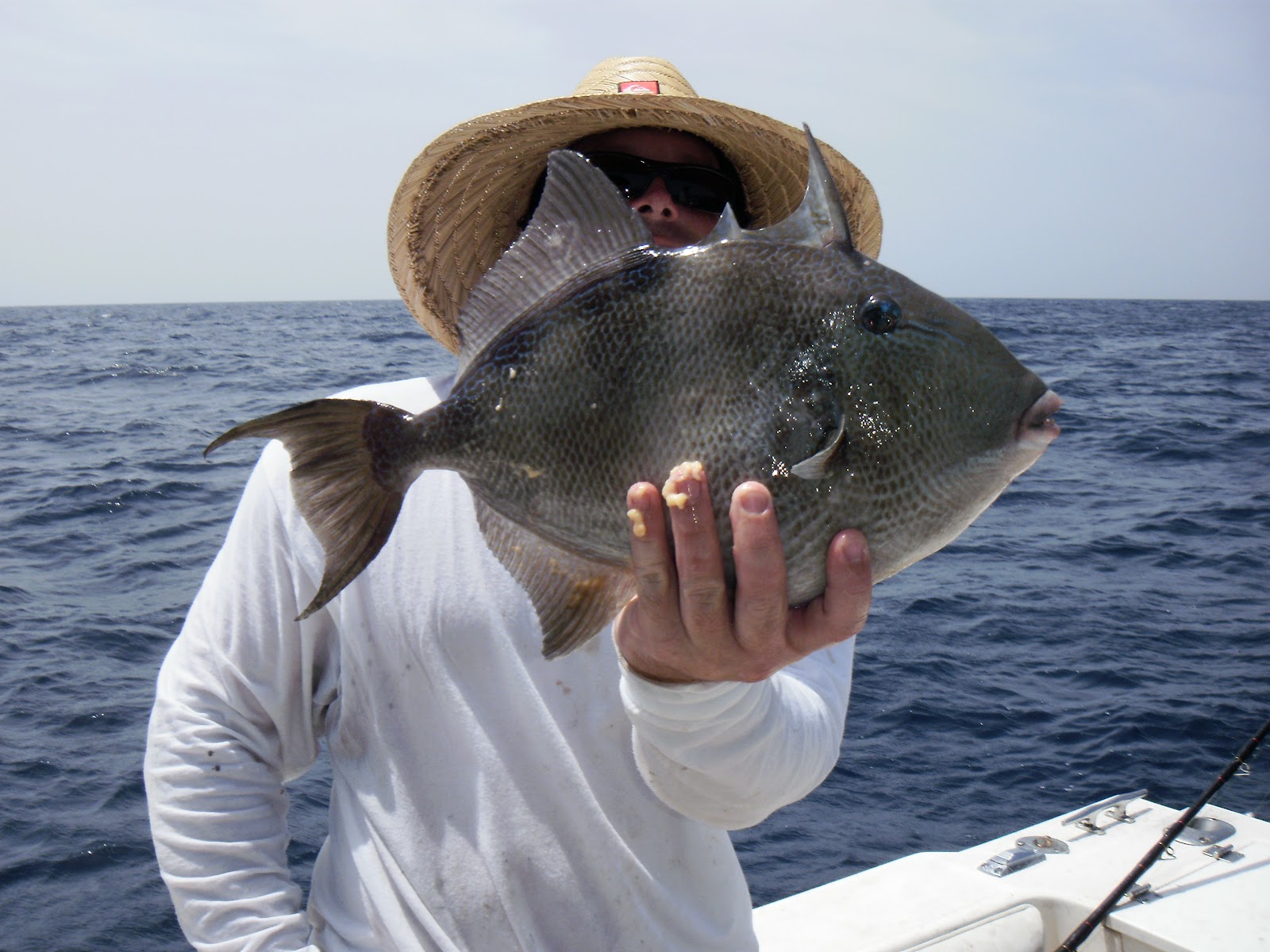 Deep Sea Fishing (with pics) ~ When 140 Characters Just Doesn't Cut It...
