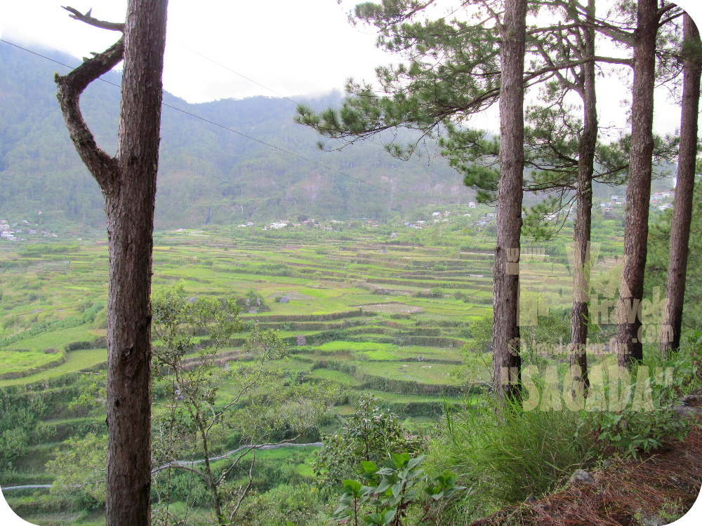 Kapay-aw Rice Terraces in Sagada - Travex Travels - Travel. Explore ...