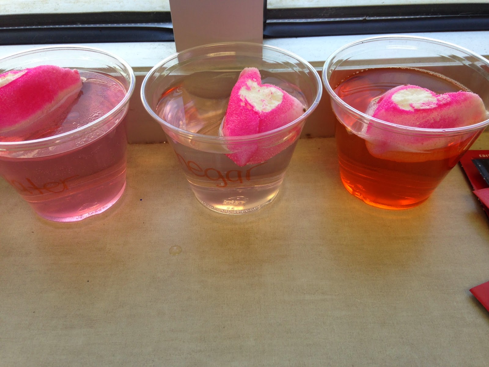 Ms. Winter's Wild West: Egg-Citing Science