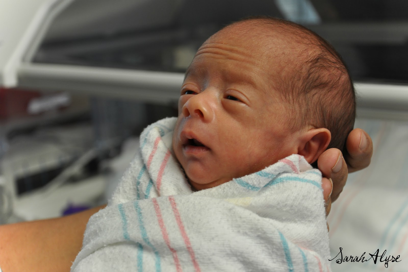 Preemie Prints Information Blog: Preemie Prints NICU Photo Shoot Baby ...