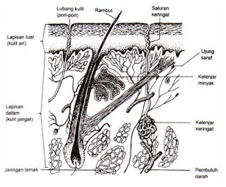 MEKANISME | One for all
