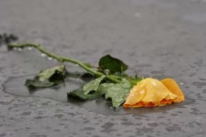 Father Manny's Homilies: Good Friday: Like a Rose Trampled on the Ground