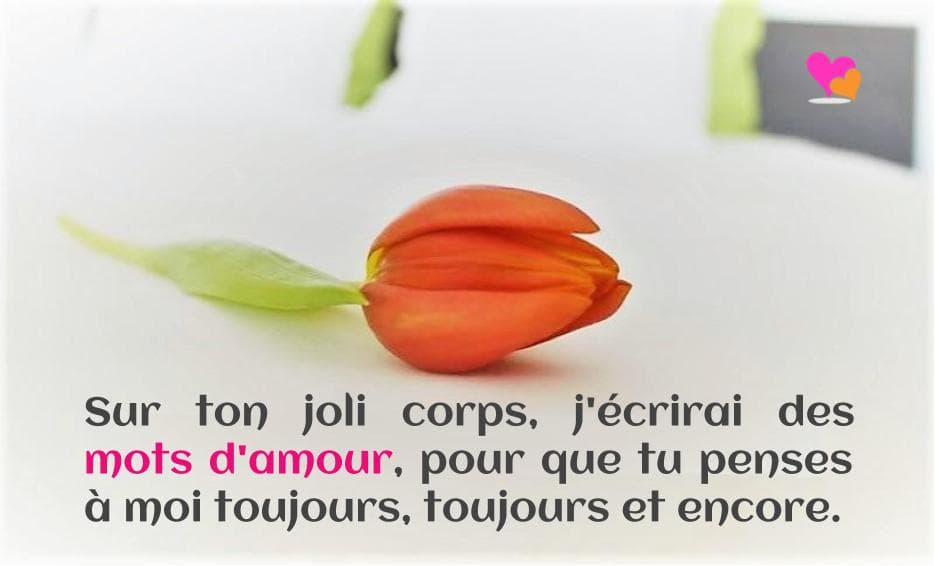 Les SMS gratuits et petits textos d'amour romantiques: Phrases et ...