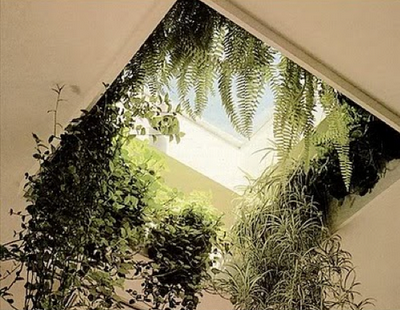 Fidgety Fingers: AWESOME SKYLIGHT PLANTER