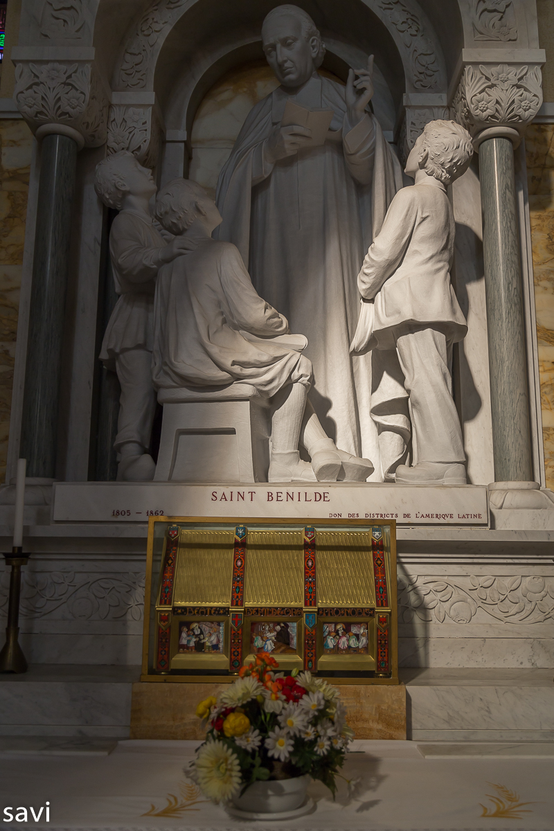 sacerdos viennensis: Benildus (Pierre Romancon)