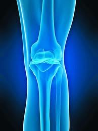 Sportygeia Medicina del Deporte y Fisioterapia.: Lesiones de rodilla.