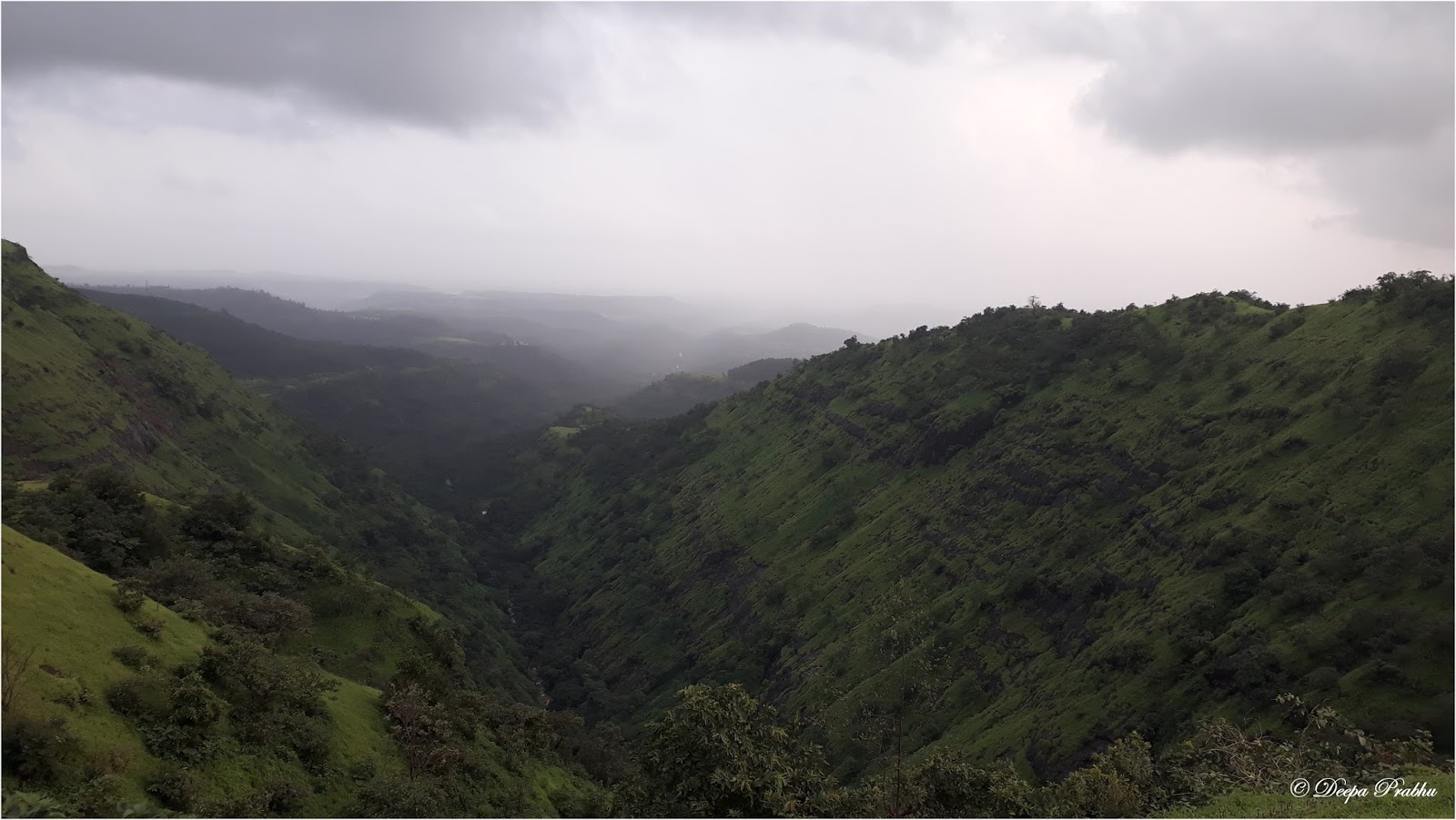 Camel valley - Igatpuri - Random Photography