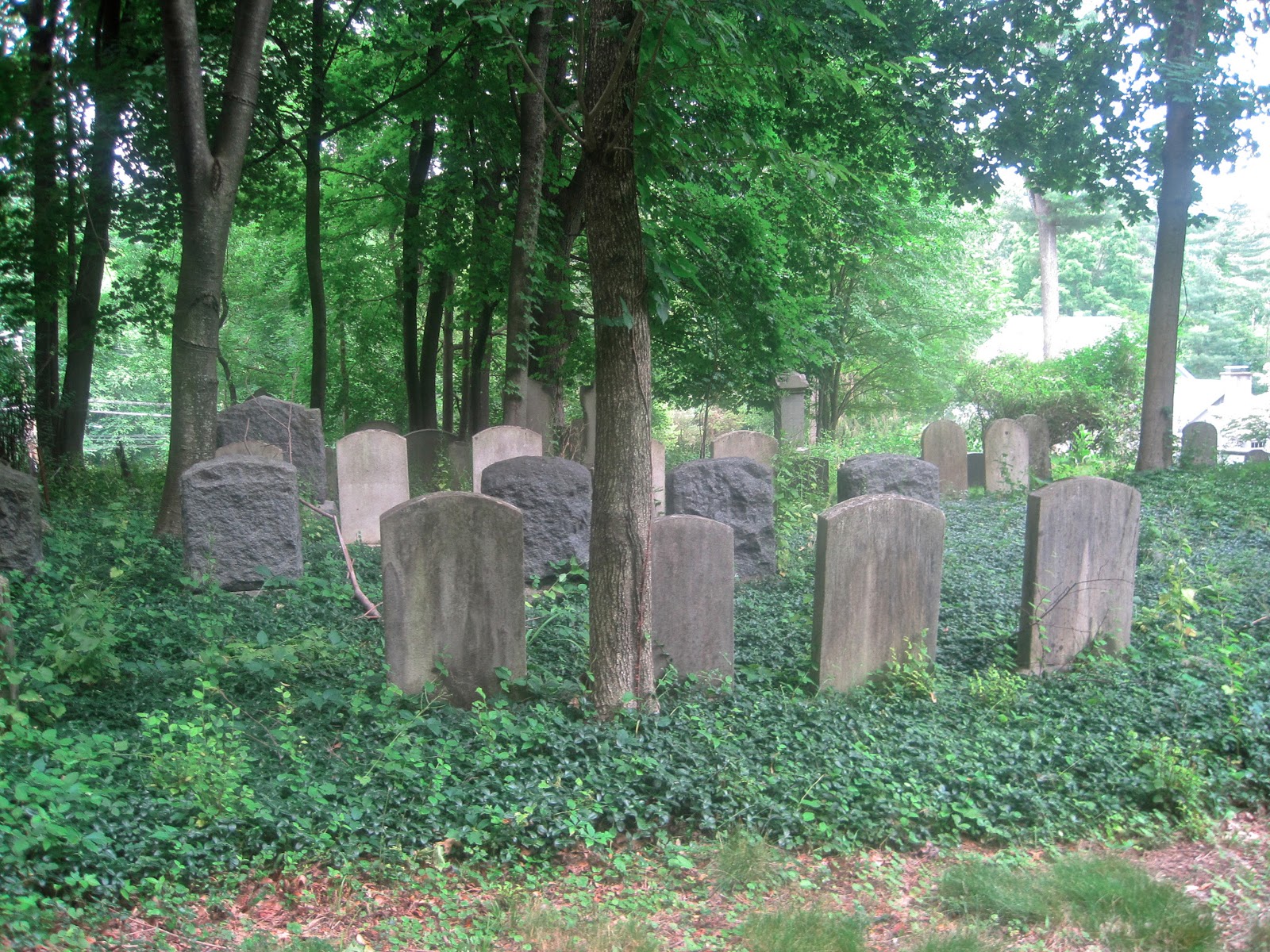 The Episcopal Cemetery Project: A Quaker Cemetery