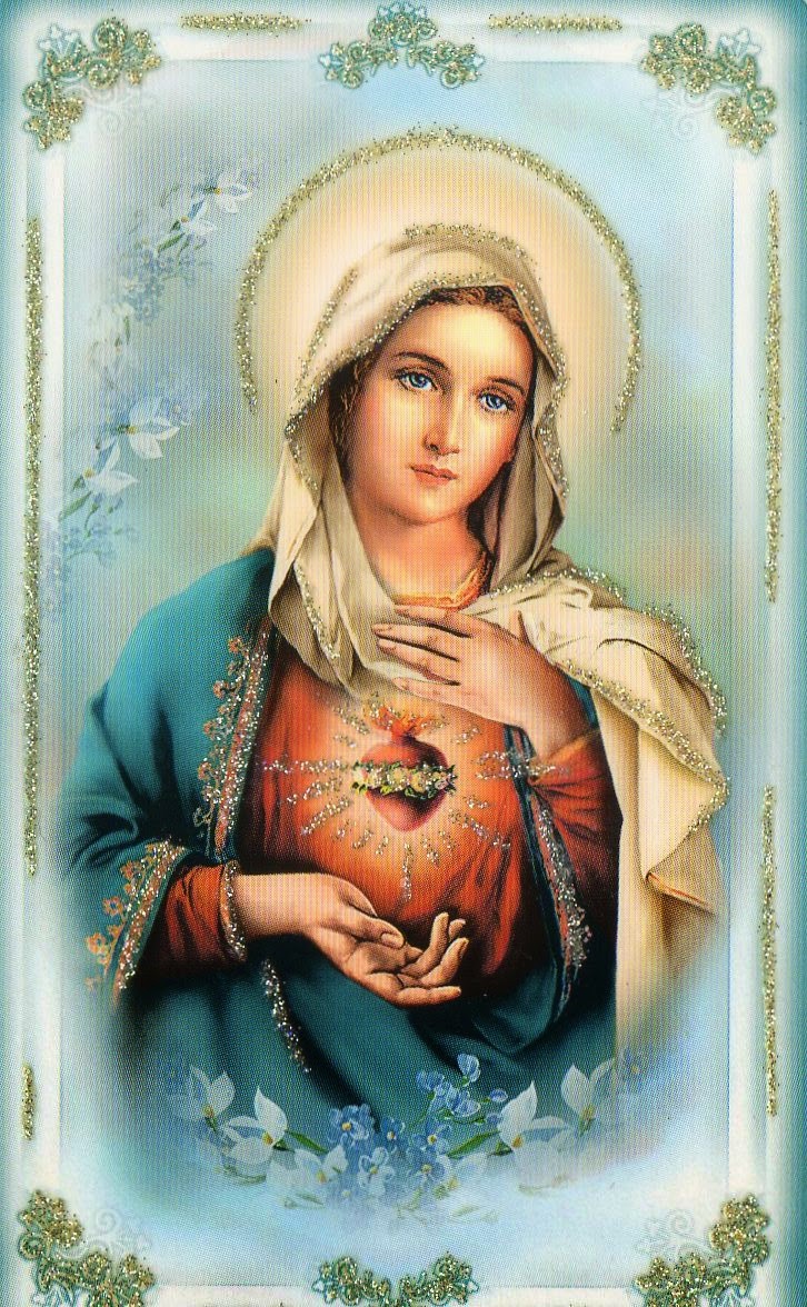 Sancta Mater Dei: MARÍA MODELO Y GUÍA