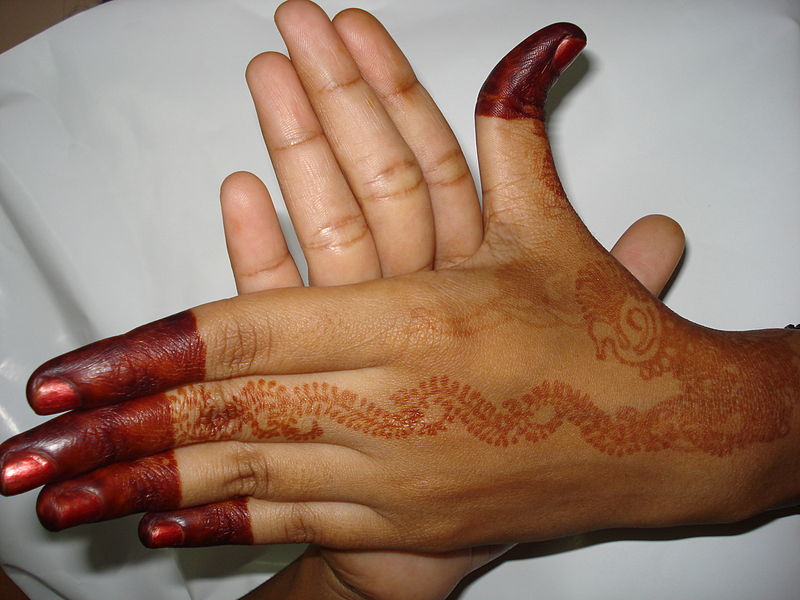 Ratio Juris: The Hand