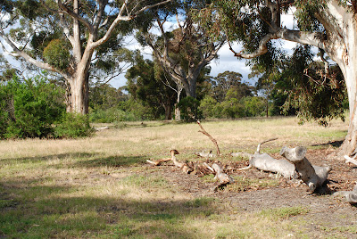 War in Victoria : Camp Pell (Royal Park) - Then & Now