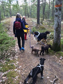 Små och stora äventyr med Atle: Atle idag