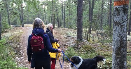 Små och stora äventyr med Atle: Atle idag