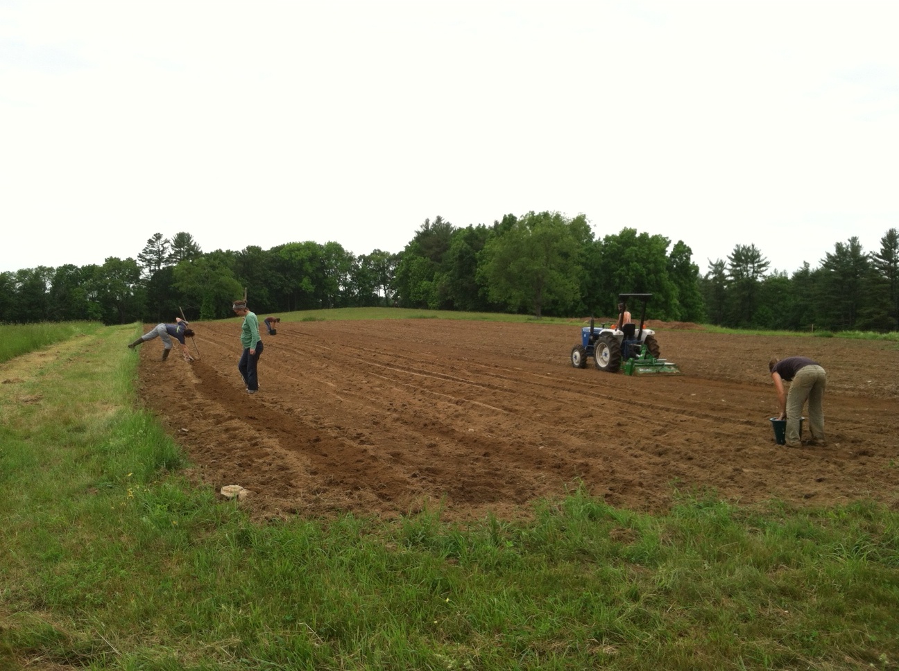 potato planting! - Stout Oak Farm