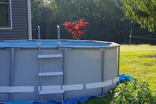 Intex Pool and Salt Water System: A Healthier Summer Swim