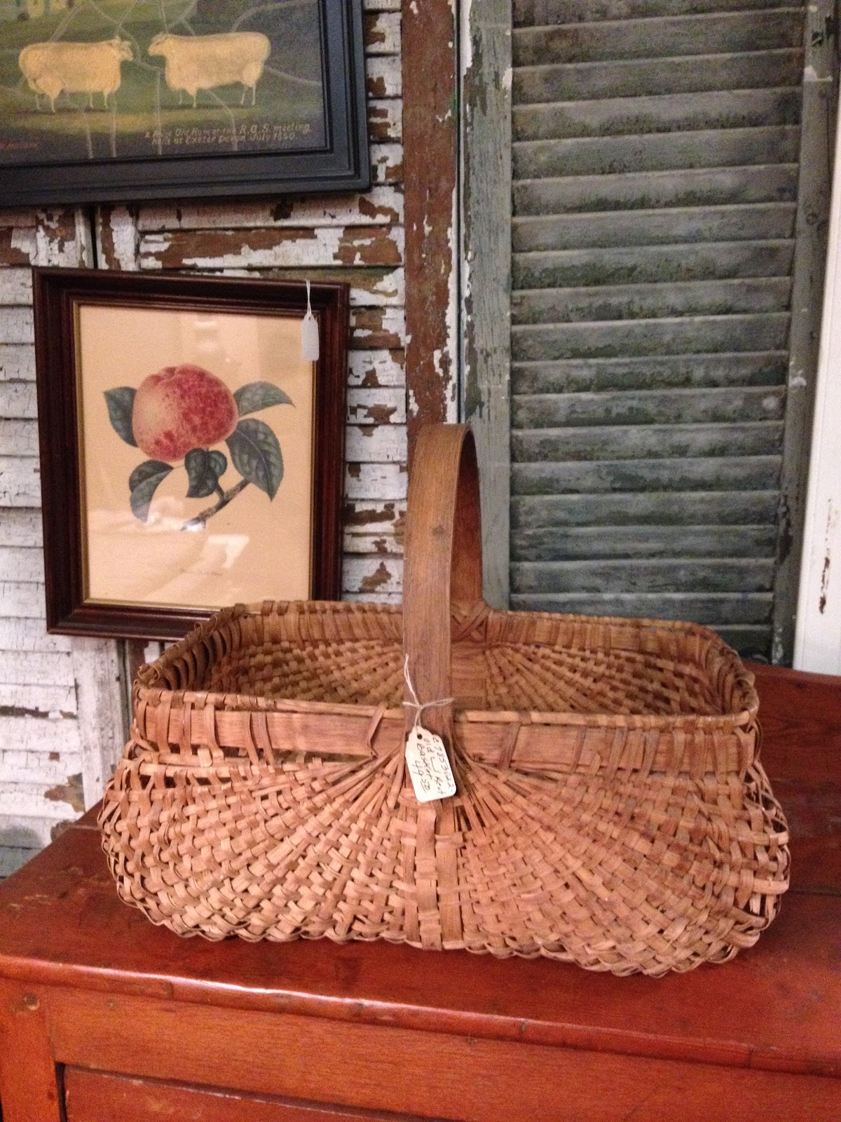 Winding Vine Wanderings: Primitive Paradise ~ Spring 2016