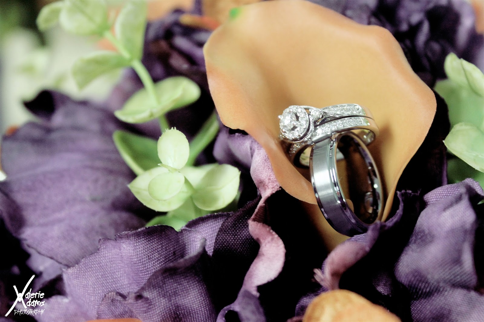 Valerie Adams Photography: Jenn & Jason - McGarvey Wedding