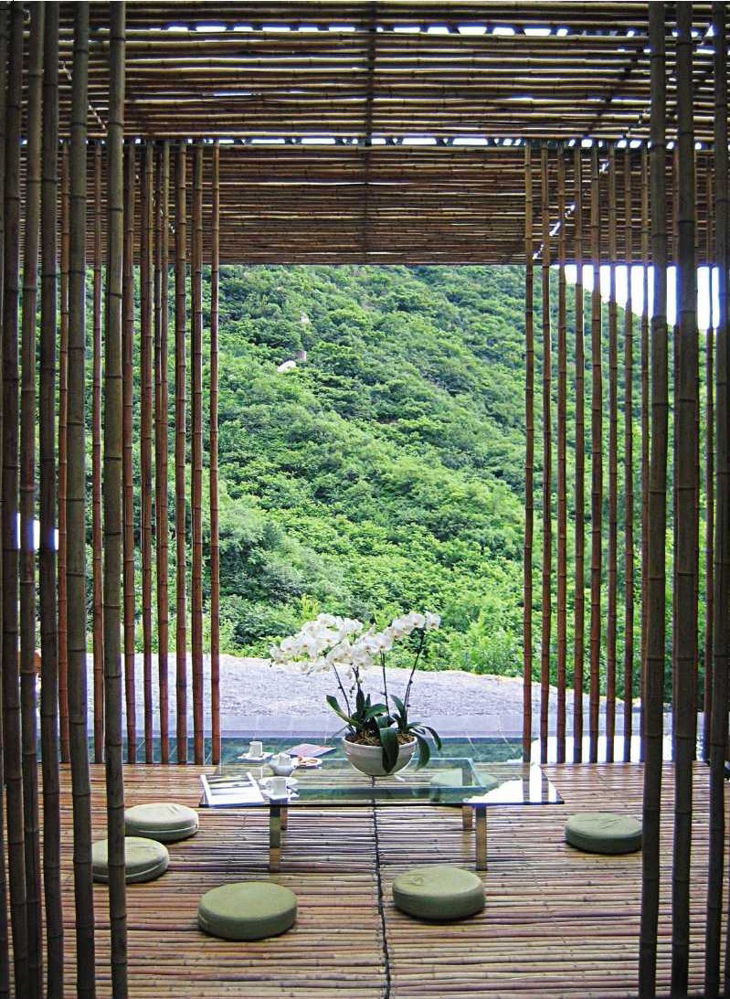 Concrete Oxygen: Seeking for sustainable practices: the Great Bamboo ...