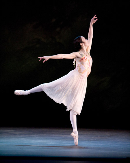 la danza: Elementos de la danza