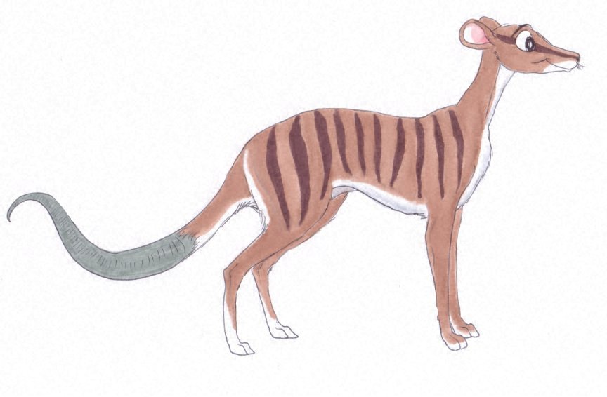 Uncle Martin and the Gang Stories: Characters