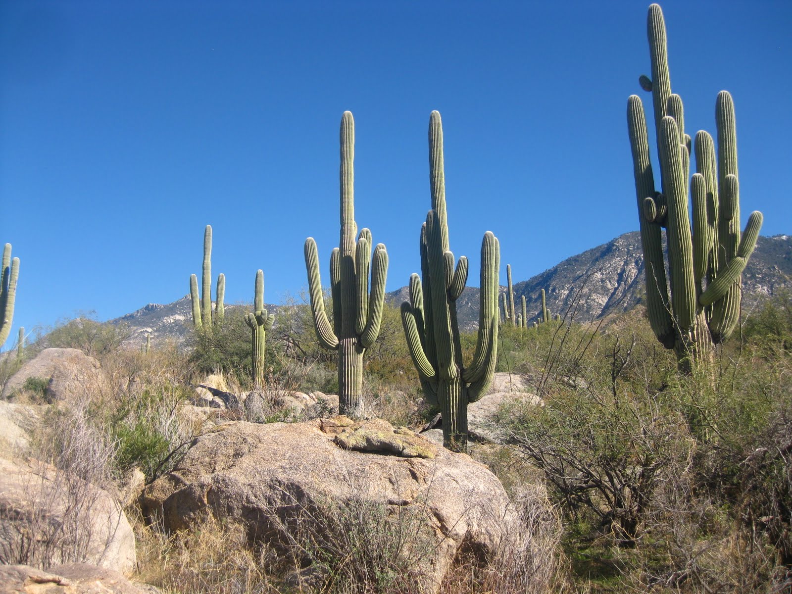Geology Happens: Metamorphic Core Complex...while on vacation