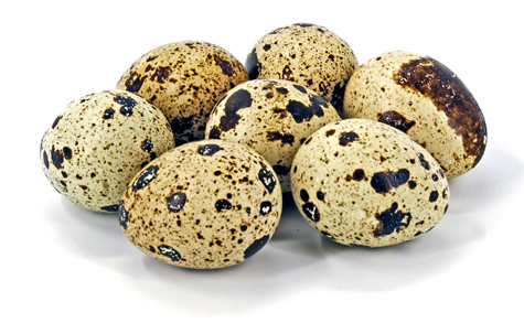 TU SALUD Y LA NUTRICIÓN.: Beneficios nutricionales del huevo de codorniz.