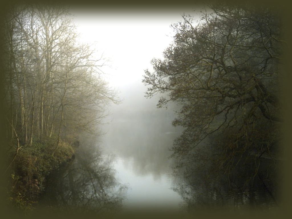 pintamonos: DESDE LA BRUMA