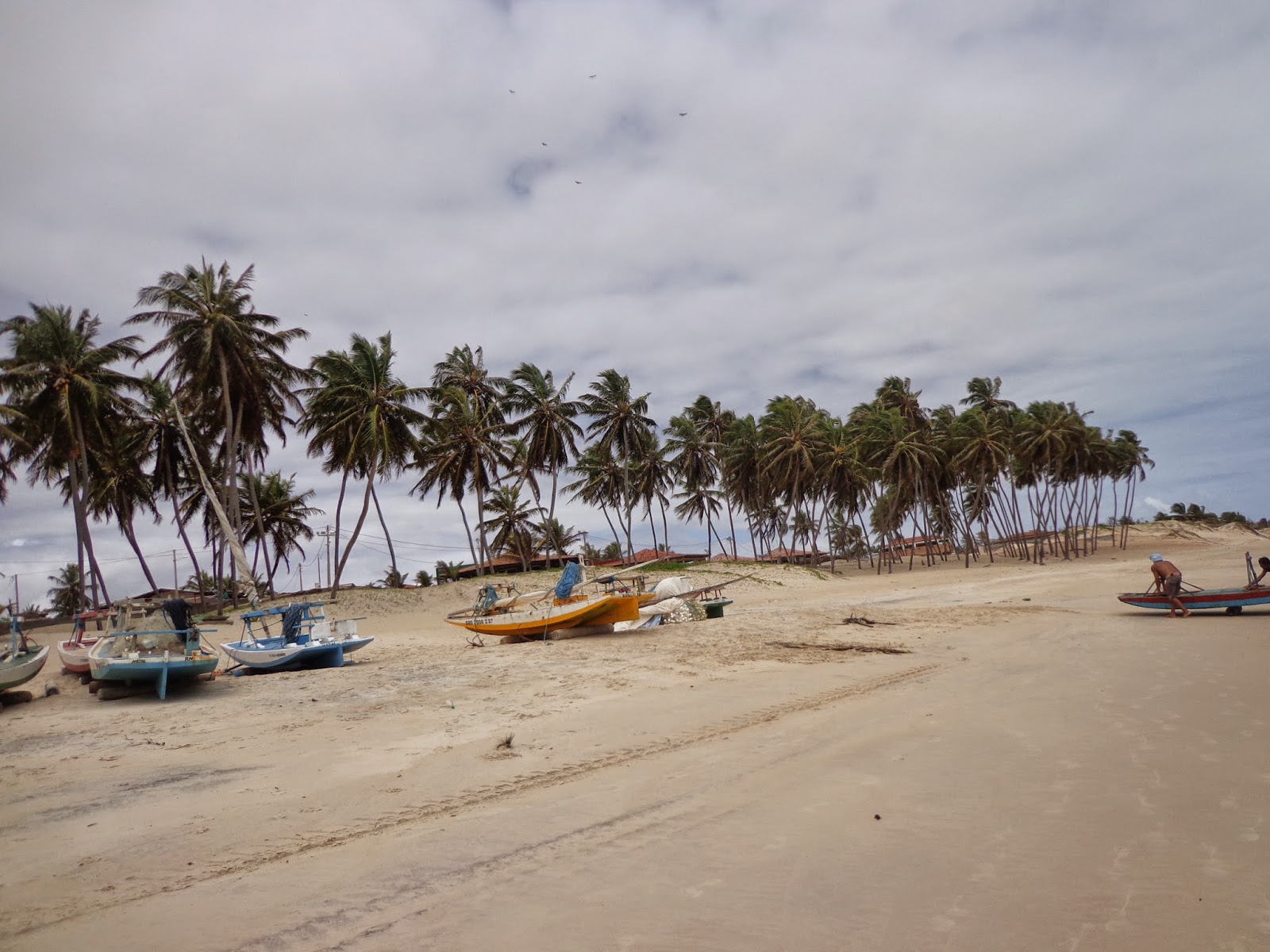 Capa Blog: Praia do Zumbi- Brasil / RN