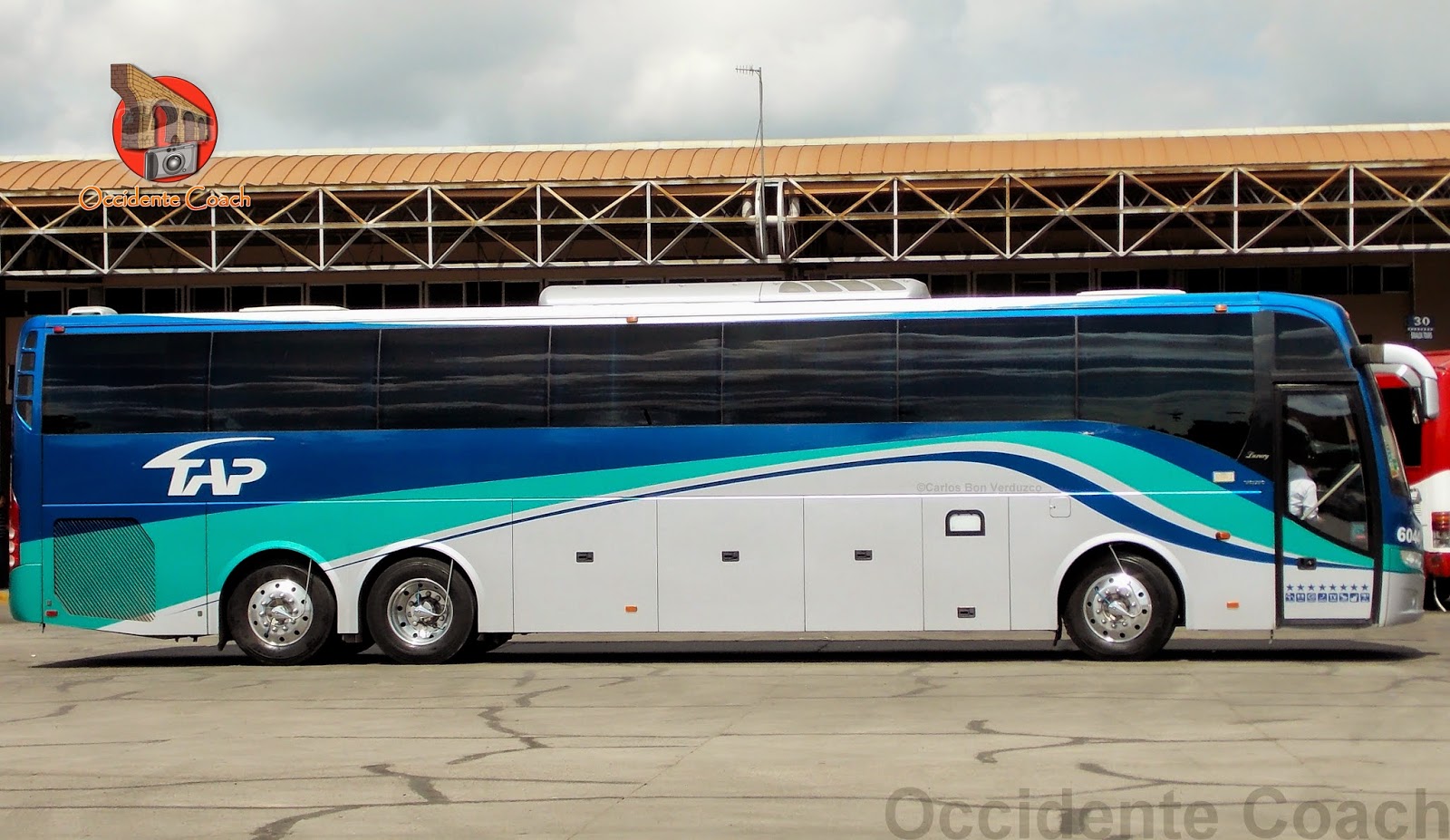 Occidente Coach: Transportes y Autobuses del Pacífico, TAP