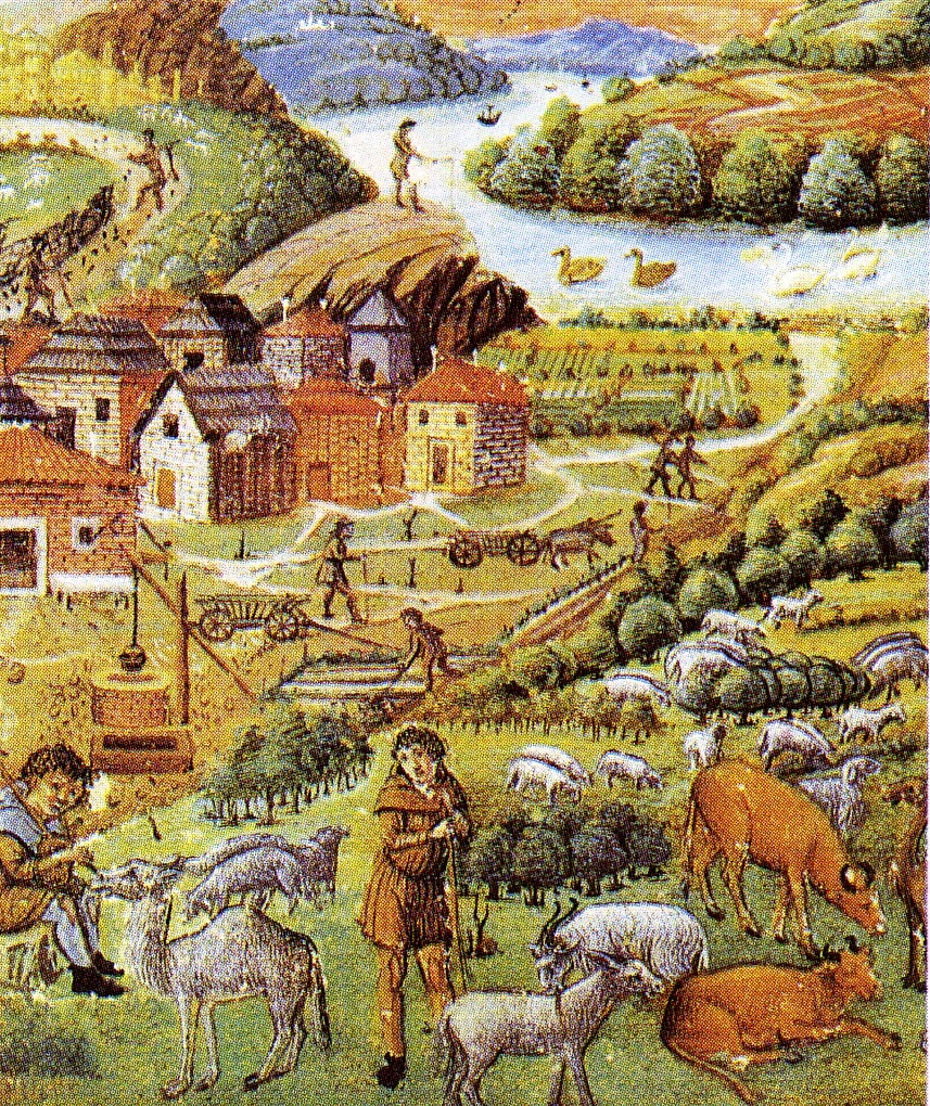 SAMSON DE LA HISTORIA