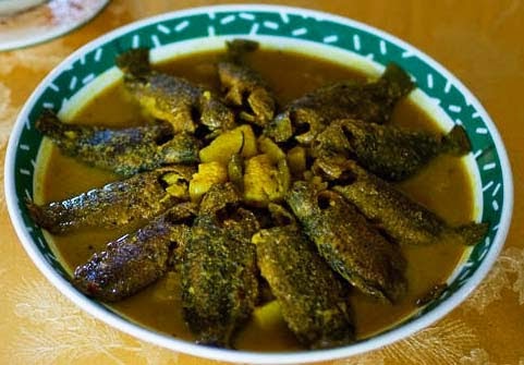 Mengenal Ikan Betok - Kelapkeliplampune