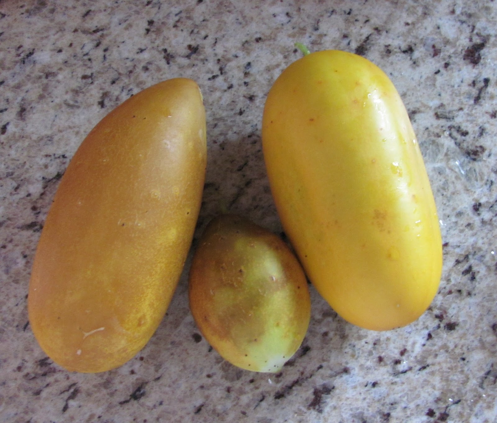 Homesteading on the Homefront: I'm Baaaaack!